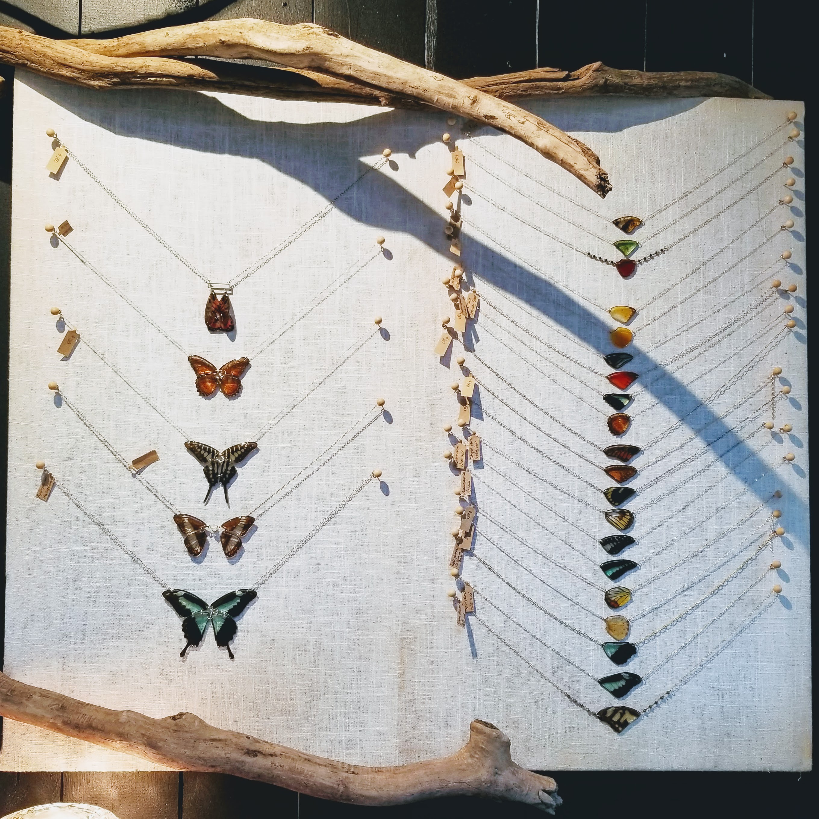 Isms Butterfly Art 03 | Writing Dragons